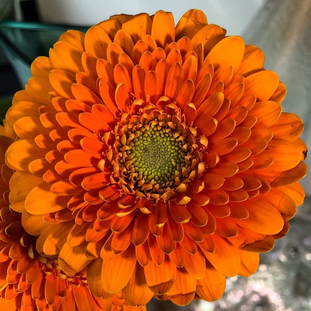 D.Katie Powell Art | Blogging on sketching art journals, creating ...